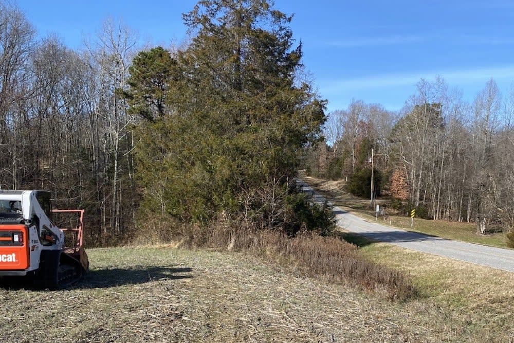 Wallburg Tree Removal - Wallburg Tree Service - Wallburg, North Carolina