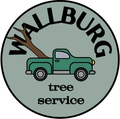 Wallburg Tree Removal - Wallburg Tree Service - Wallburg, North Carolina