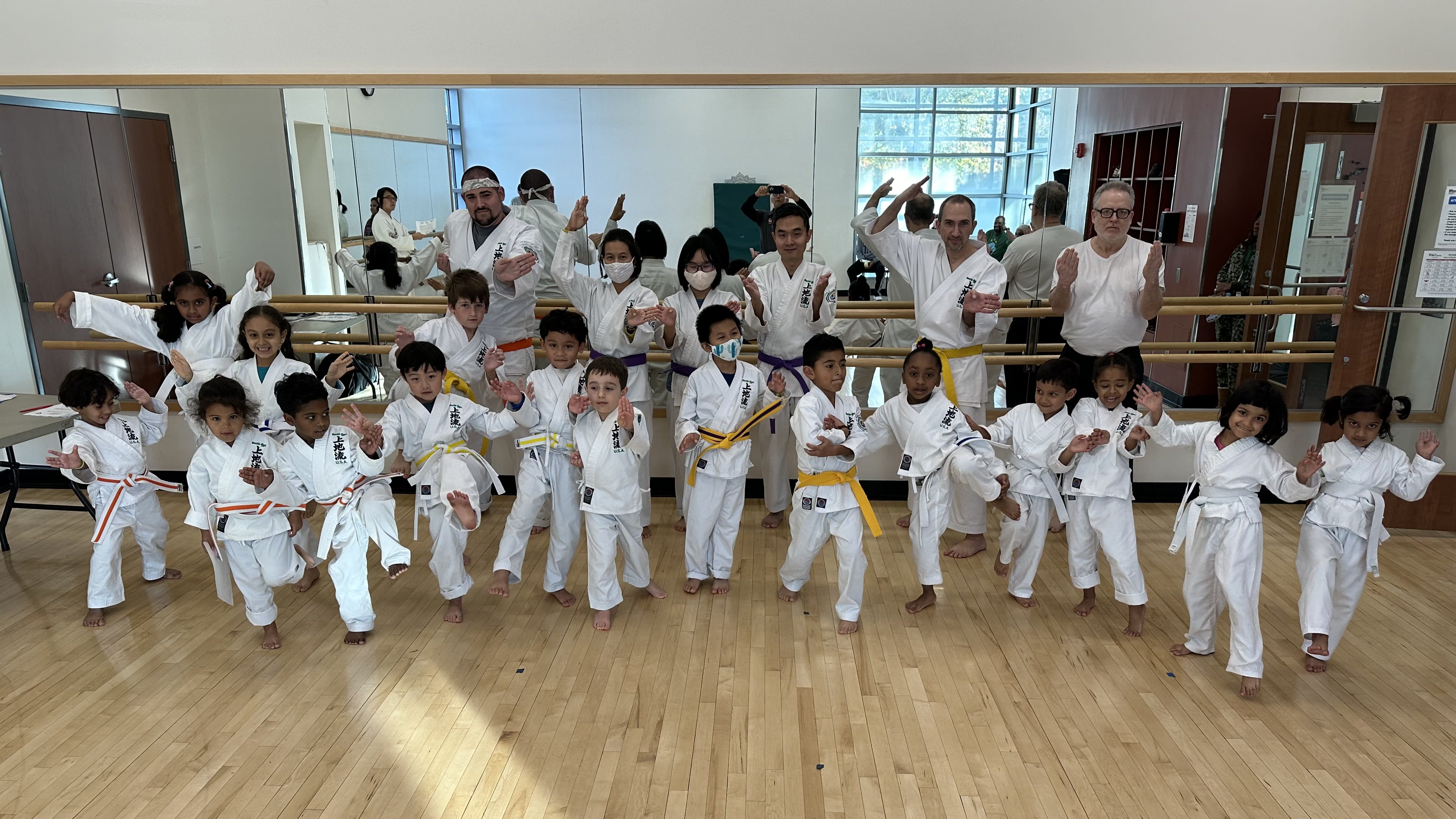 What is the Curriculum and How to Progress in our Martial Arts Karate?