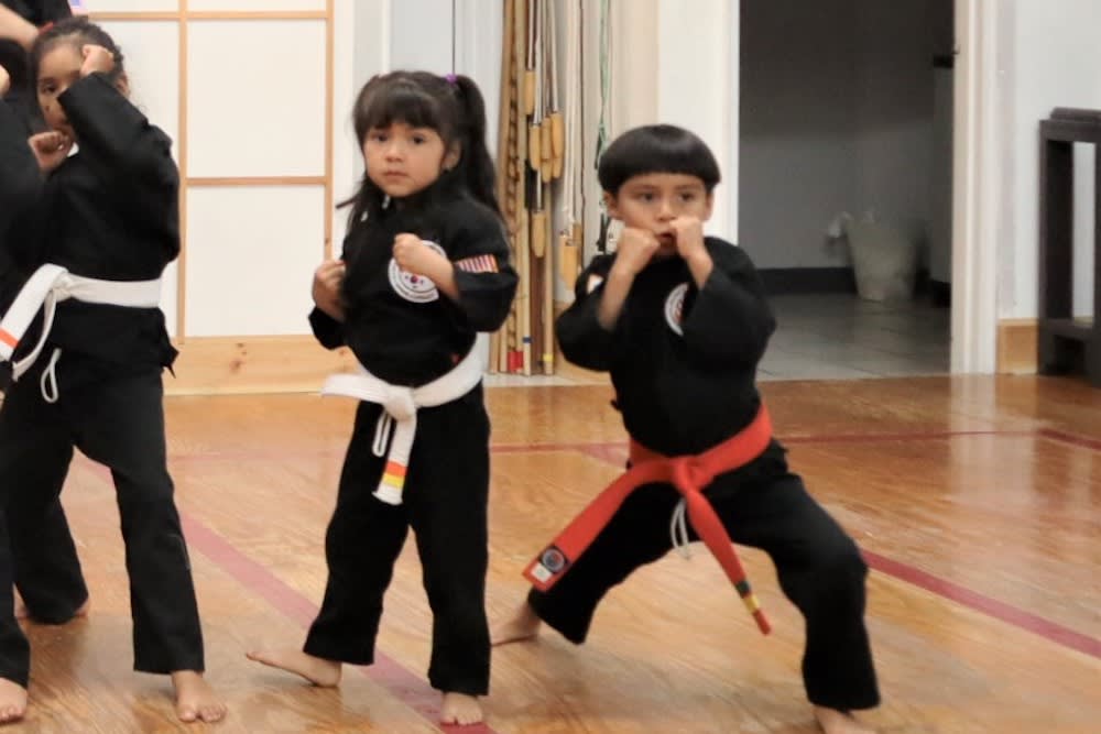 South Philadelphia Martial Arts Programs - United Martial Arts Academy ...
