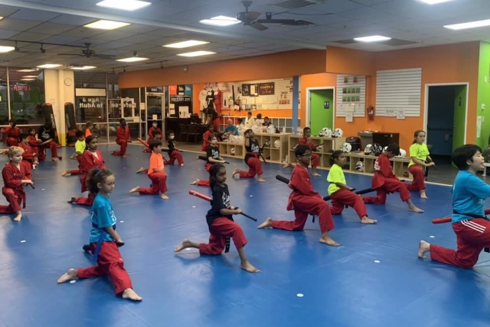 Plano Martial Arts Programs - Master Kang's Martial Arts - Plano, Texas