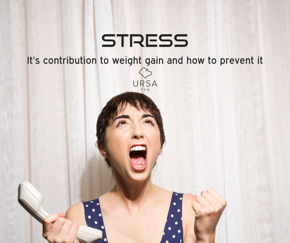 Stress, It’s Contribution To Weight Gain And How To Prevent It