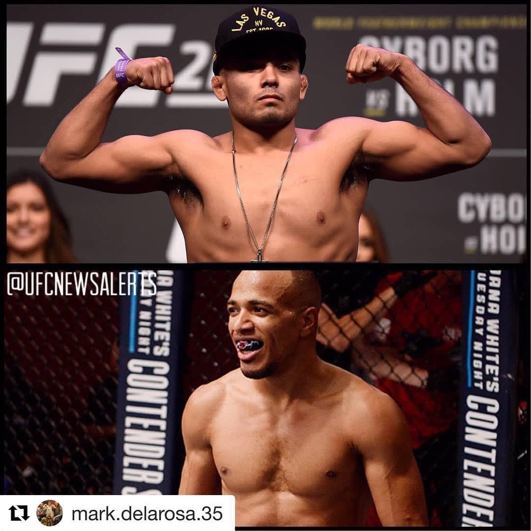 Fight ANNOUNCEMENT!