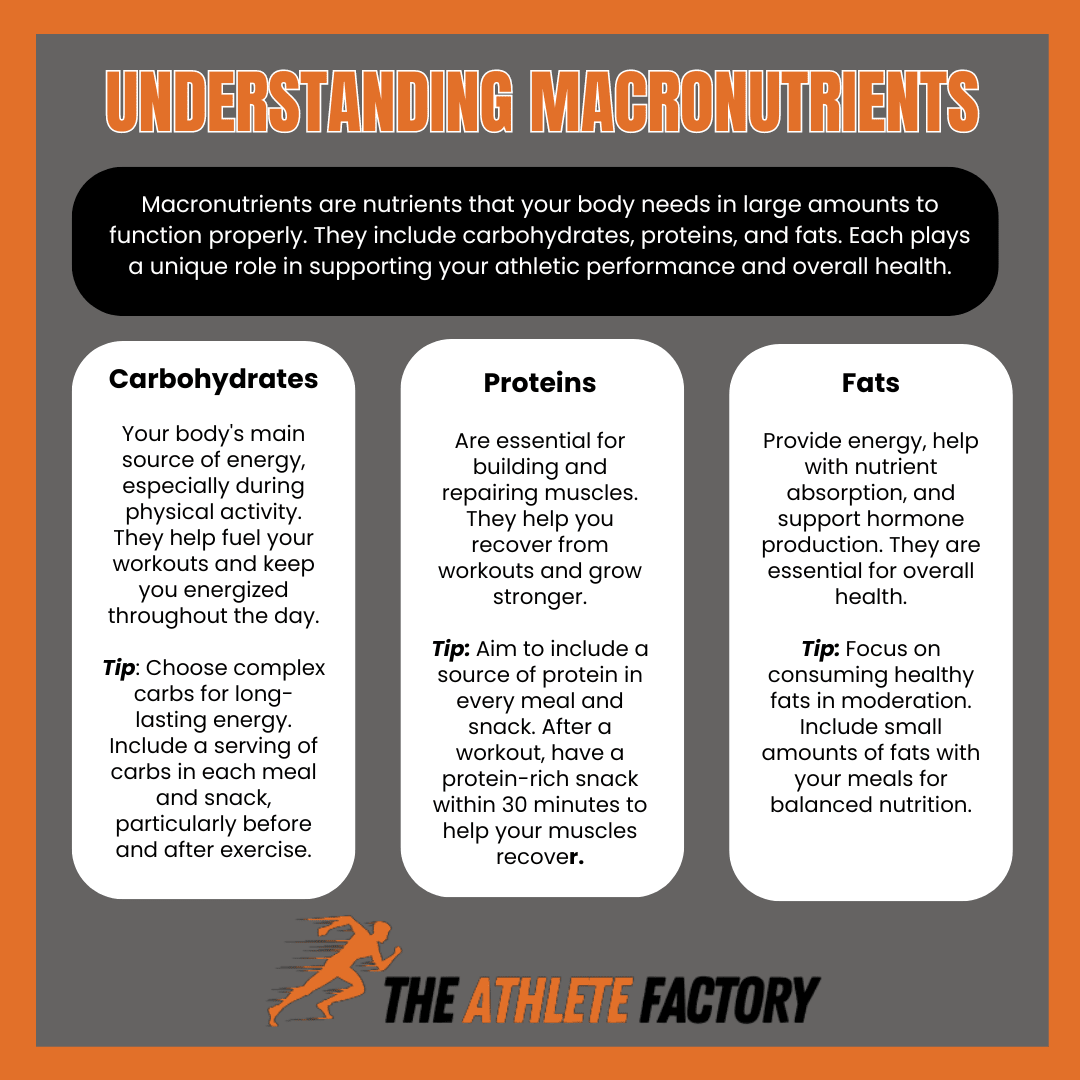 Understanding Macronutrients