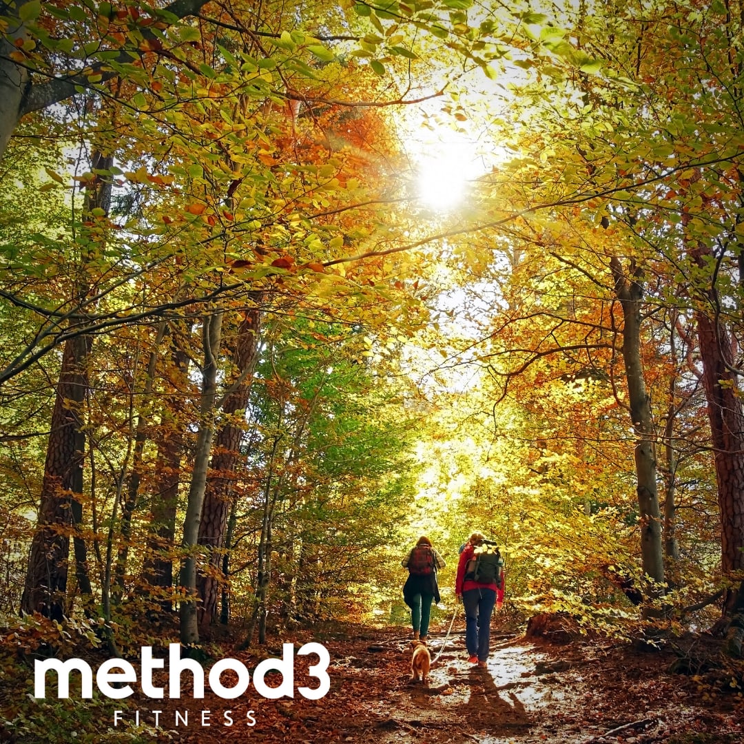 The Power of Change: A Personal Trainer's Guide to Transformation