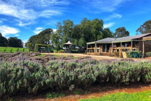 Attractions & Activities - The Villages | Dandenong Ranges