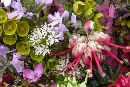 Gardens & Nurseries - The Villages | Dandenong Ranges