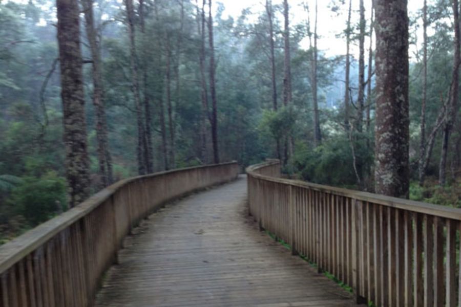 Walking Trails - Eastern Dandenong Ranges
