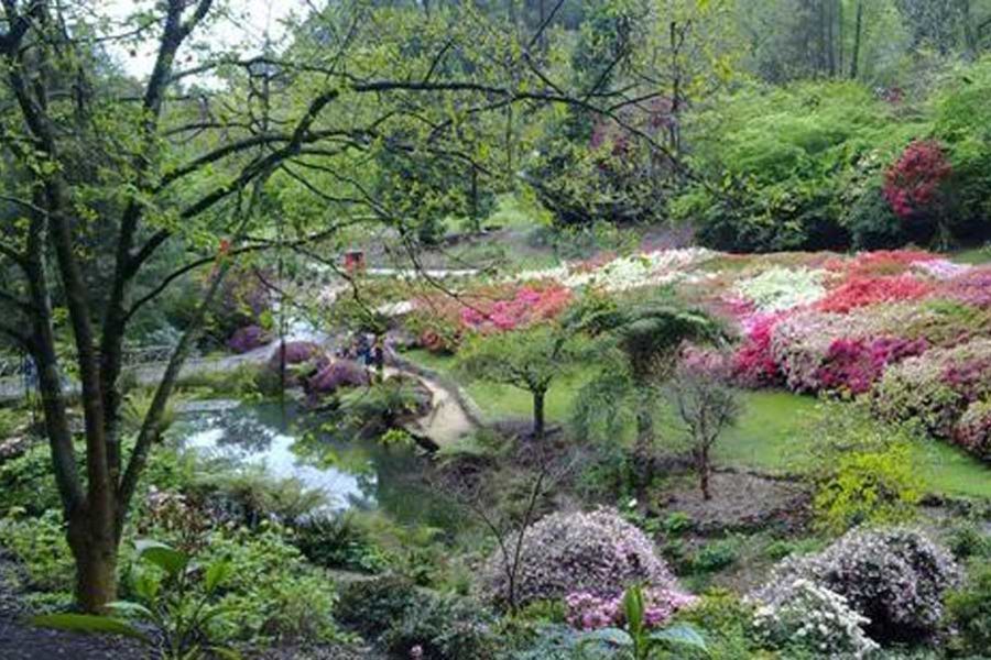 Dandenong Ranges Botanic Gardens - The Villages | Dandenong Ranges