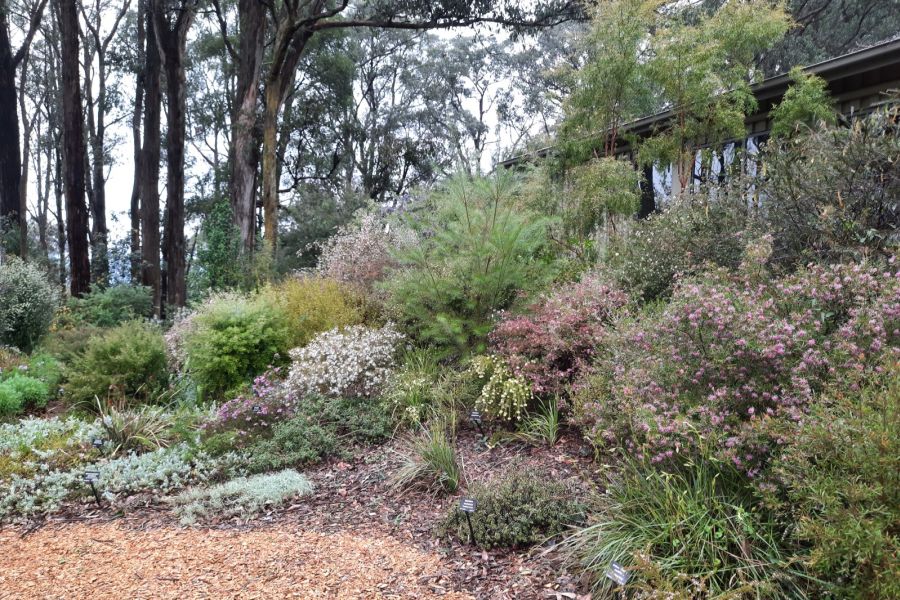 Karwarra Australian Native Botanic Garden & Nursery - The Villages ...