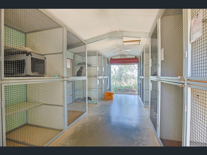 Paws Resort - For Sale - Lifestyle Businesses Australia