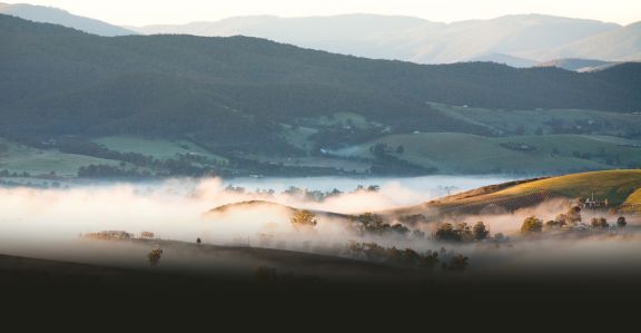 Puffing Billy Train of Lights - Eastern Dandenong Ranges