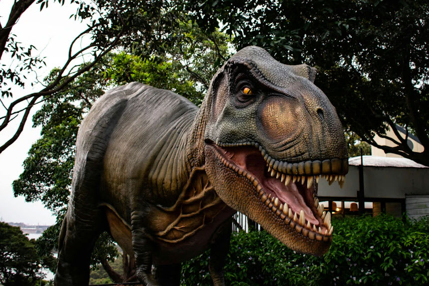 July 2024 - Events - What's On - The Villages | Dandenong Ranges