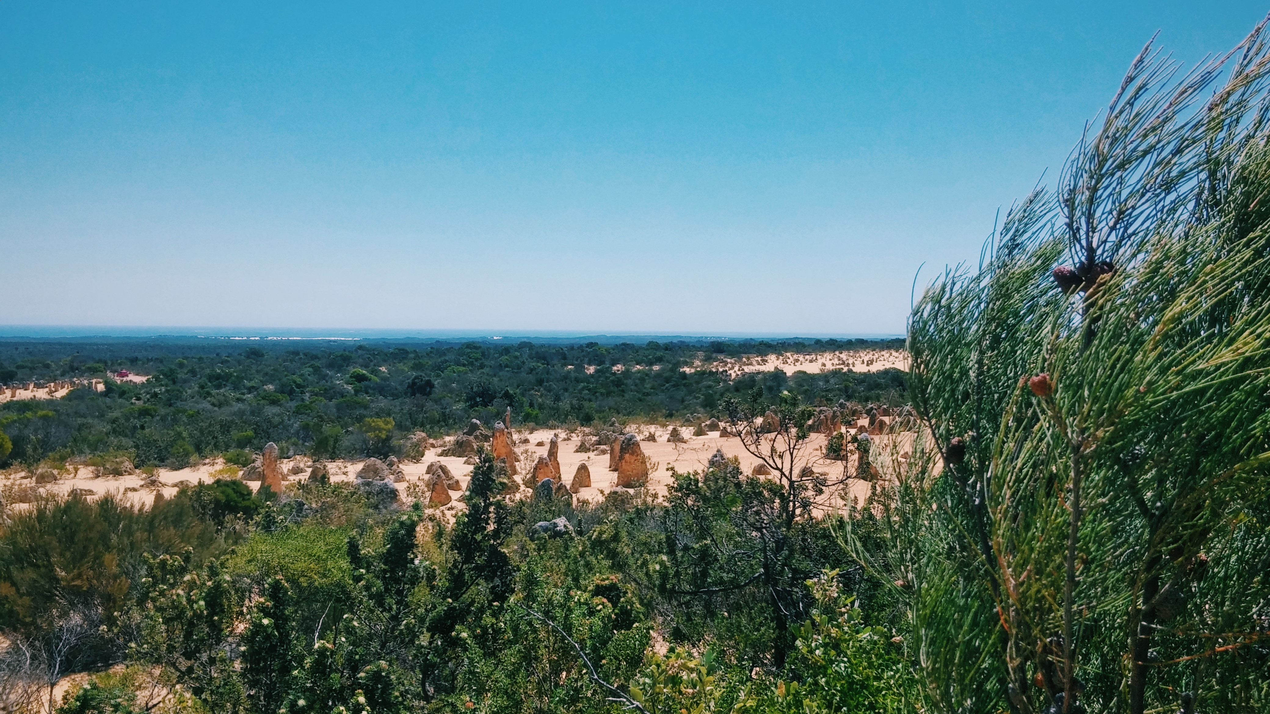 Golden Outback - Lifestyle Businesses Australia