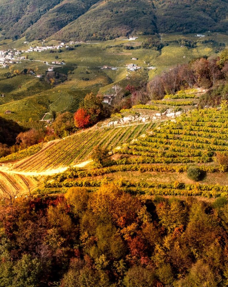 Exclusive Tour through the Riva di Santo Stefano