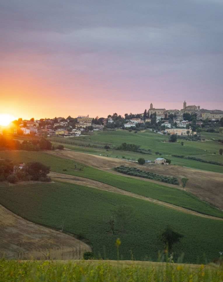 "Peace of mind" experience