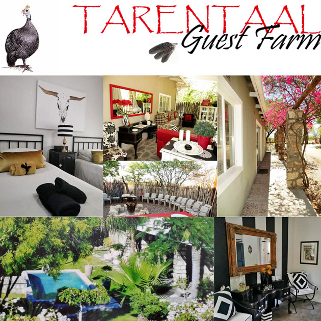 WALK-IN TRAVEL GROUP cc - Businesses in Namibia