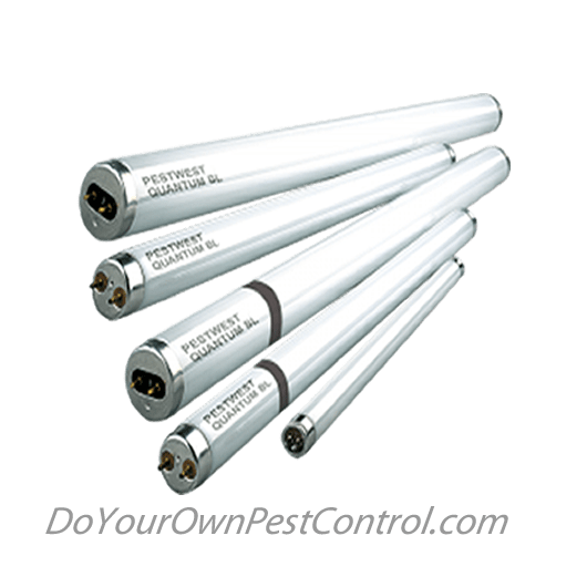 Quantum 40 Watt 24 " Straight (T12) Replacement Bulb