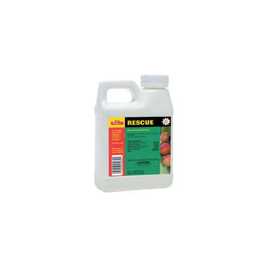 Martin's Rescue Insecticide , Martin's Rescue Fungicide