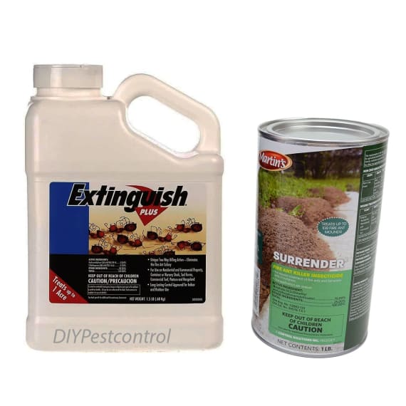 How to Get Rid of Fire Ants: Safe & Effective Strategies