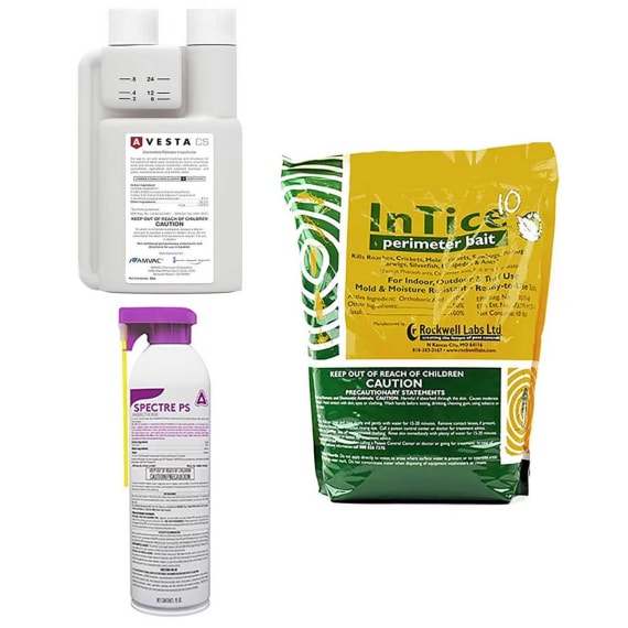 How to Get Rid of Roaches Once & For All - DIY Pest Control