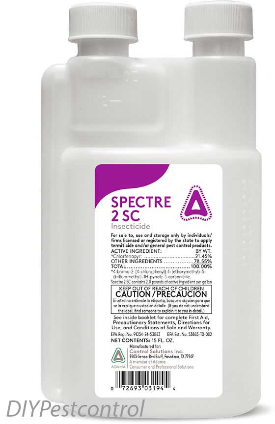 Best Termite Killer: Effective Solutions for Your Home - DIY Pest Control