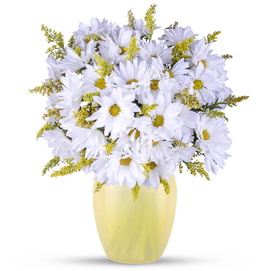 Cheerful Daisies Flower Delivery Decatur GA - Fairview Flower Shop