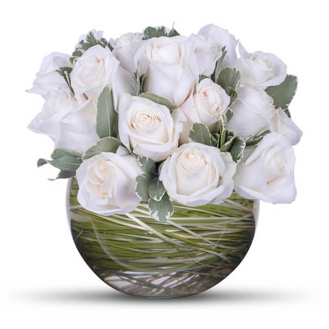 Cream Roses Arrangement Flower Delivery New Brighton MN - Pletschers ...
