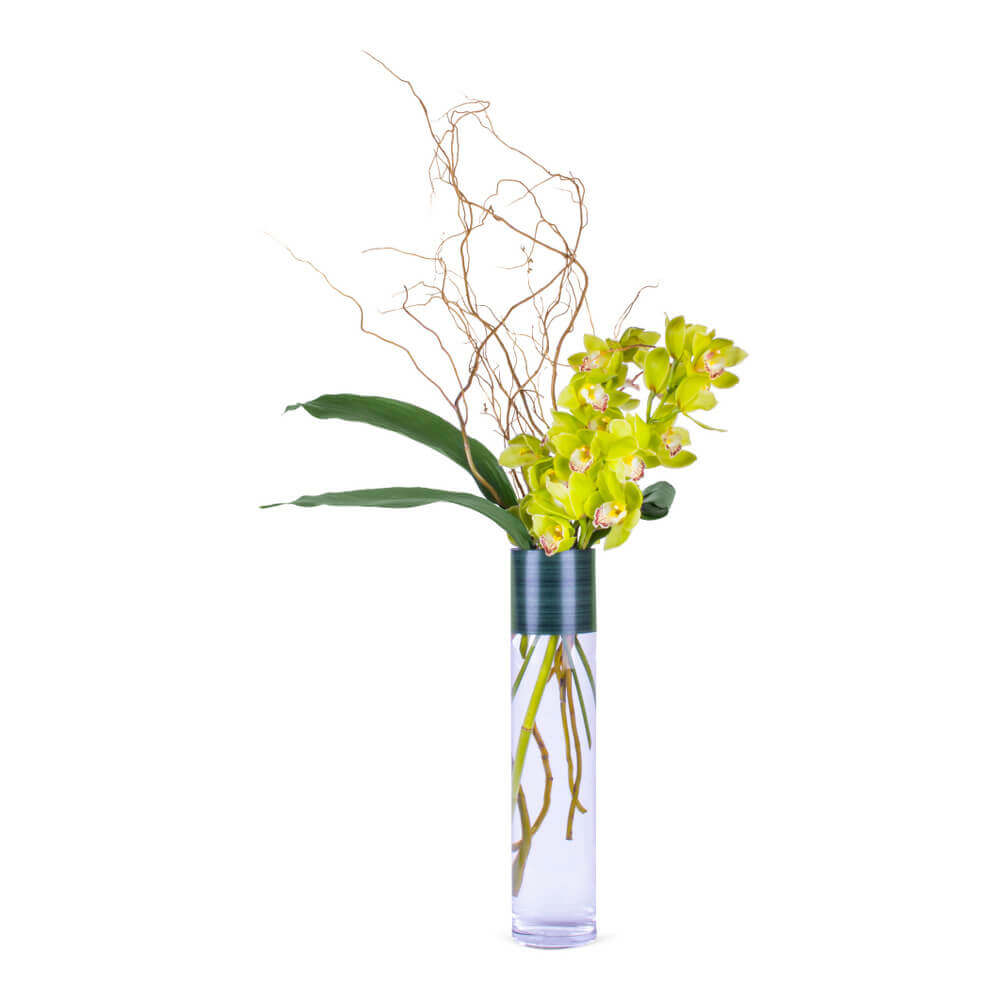 Jade Cymbidium Arrangement Flower Delivery Bellingham MA - Brian's ...