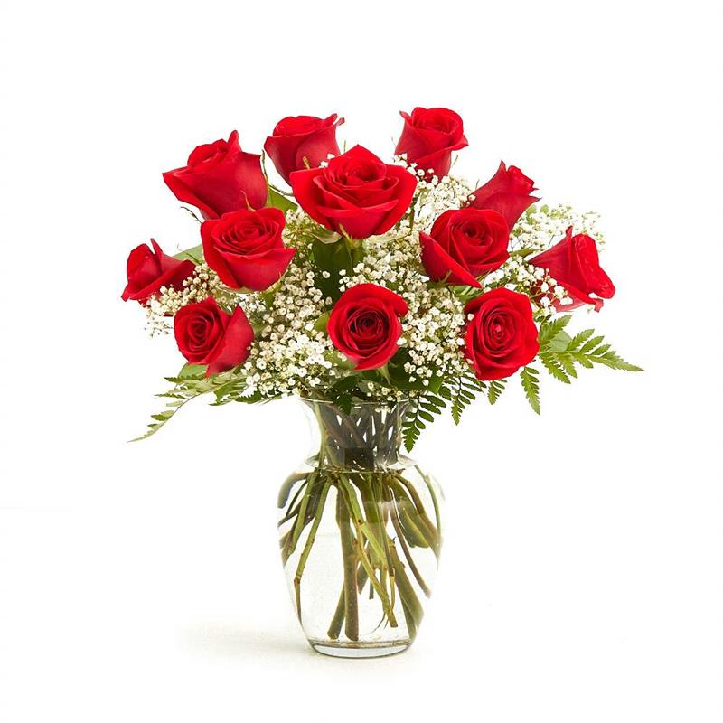 Timeless - One Dozen Red Roses Flower Delivery London ON - Forest of ...