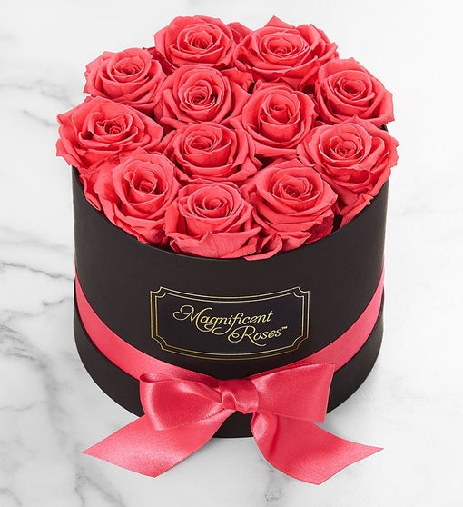 Magnificent Roses Preserved Hot Pink Roses