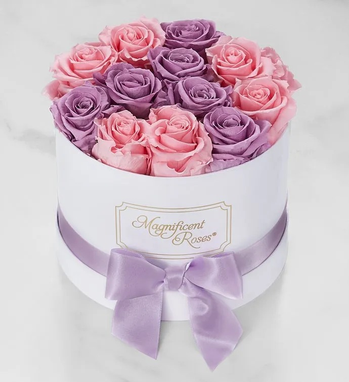 Magnificent Roses® Preserved Lavender and Pink Duo Roses