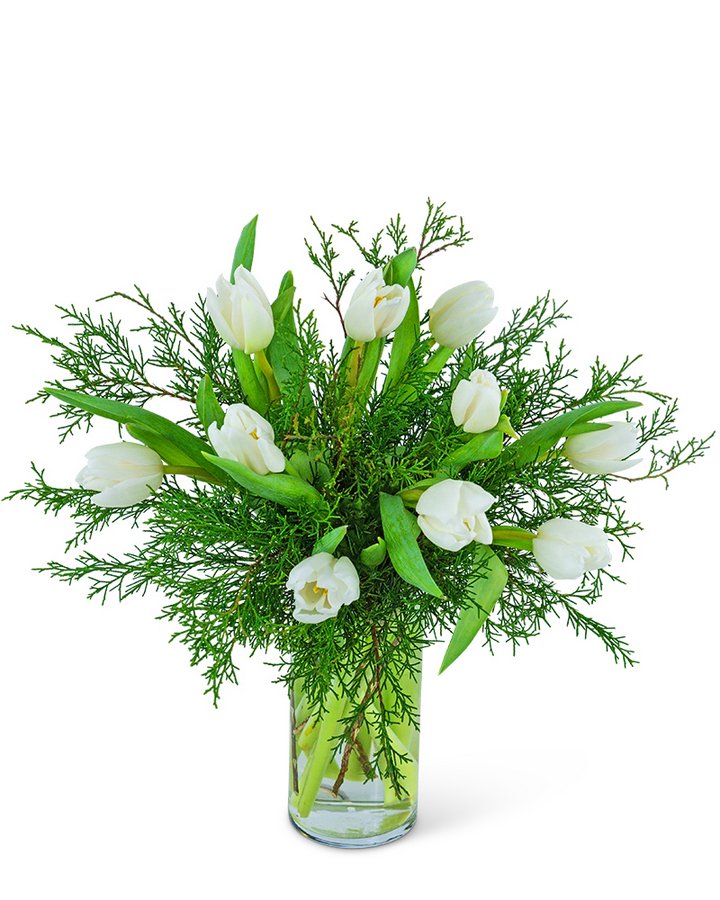 Winter White Tulips | A Perfect Bloom Memphis | Memphis Florist