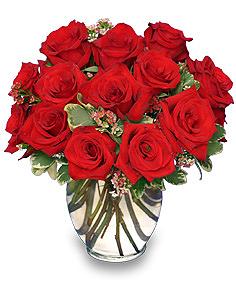 Classic Rose Royale 18 Red Roses Vase Flower Delivery St Johns ...