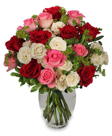 Romance of Roses Miniature Spray Roses Flower Delivery West Islip NY ...