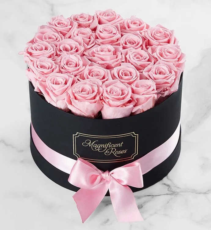 Magnificent Roses™ Preserved Pink Roses - Spencer Florist
