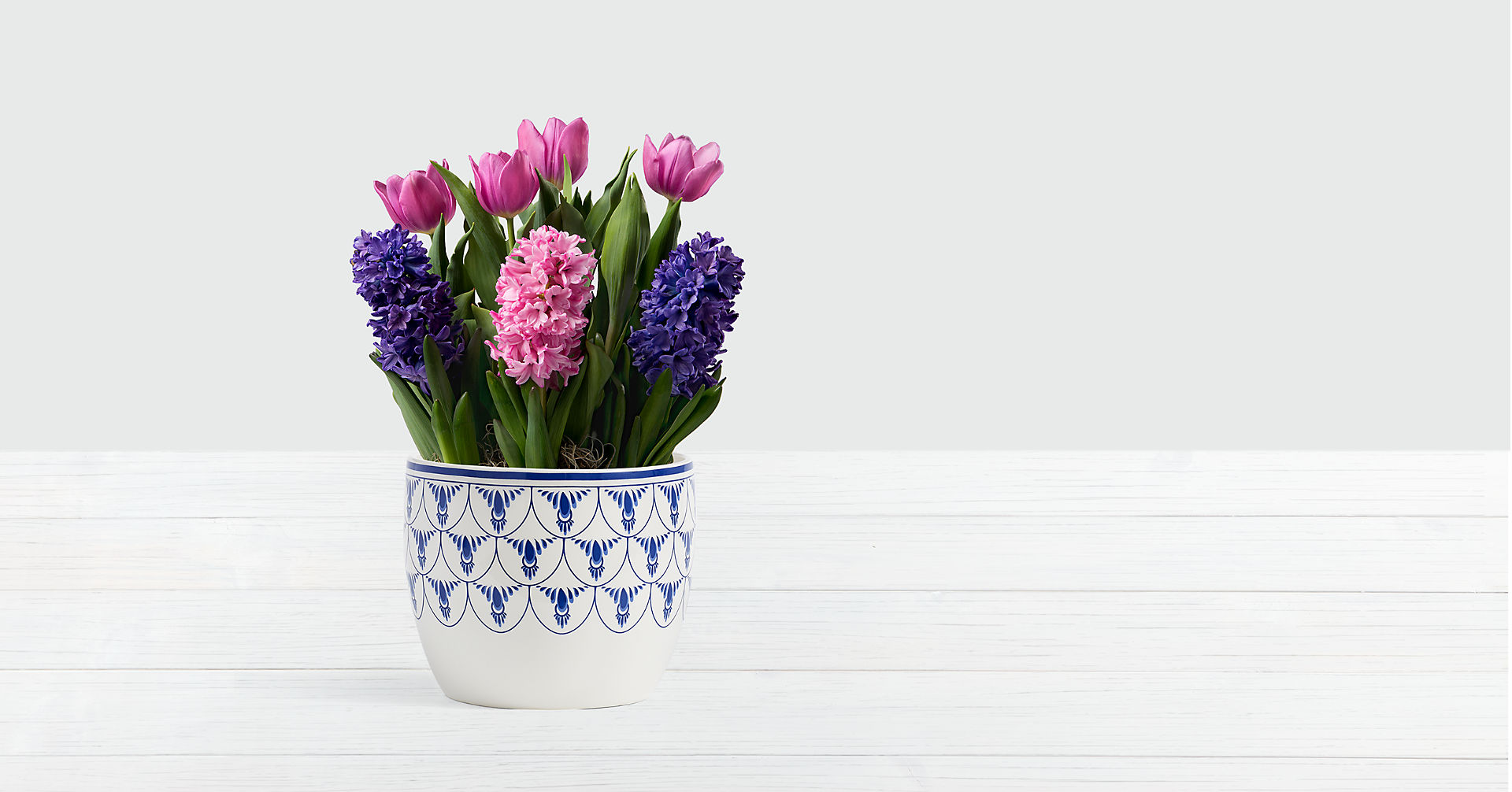 Royal Bulb Garden Flower Delivery Hockessin DE - Wanner's Flowers LLC