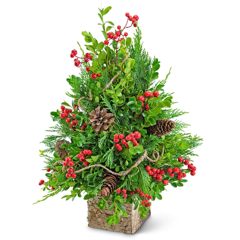 Berries & Cones Boxwood Tree Flower Delivery St Louis MO - Irene's ...