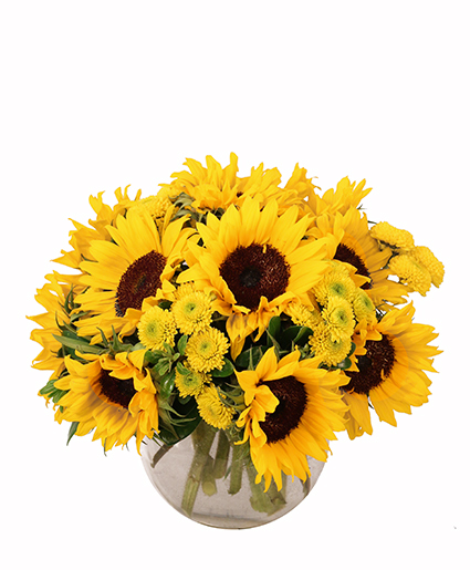 Sunny Escape Flower Arrangement | Just Because | Flower Shop Network