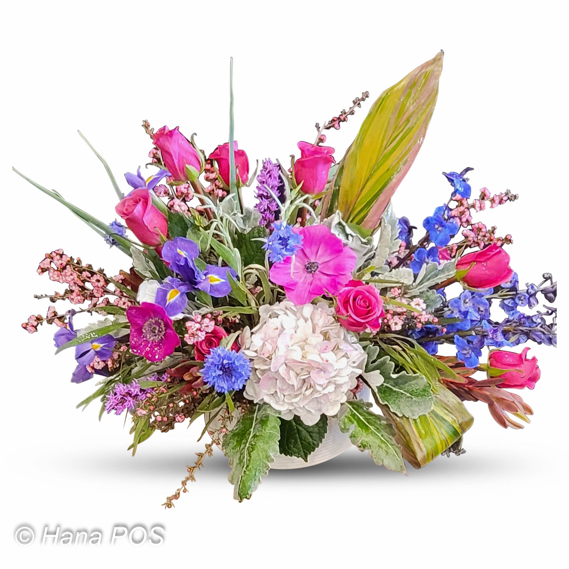 Fiona Flower Delivery London ON - Forest of Flowers