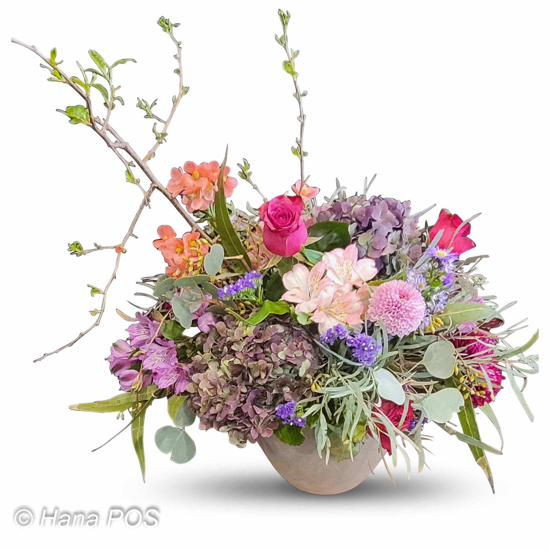 Spring Trails Flower Delivery Tulsa OK - TULSA BLOSSOM BOYS --- Wild Orchid