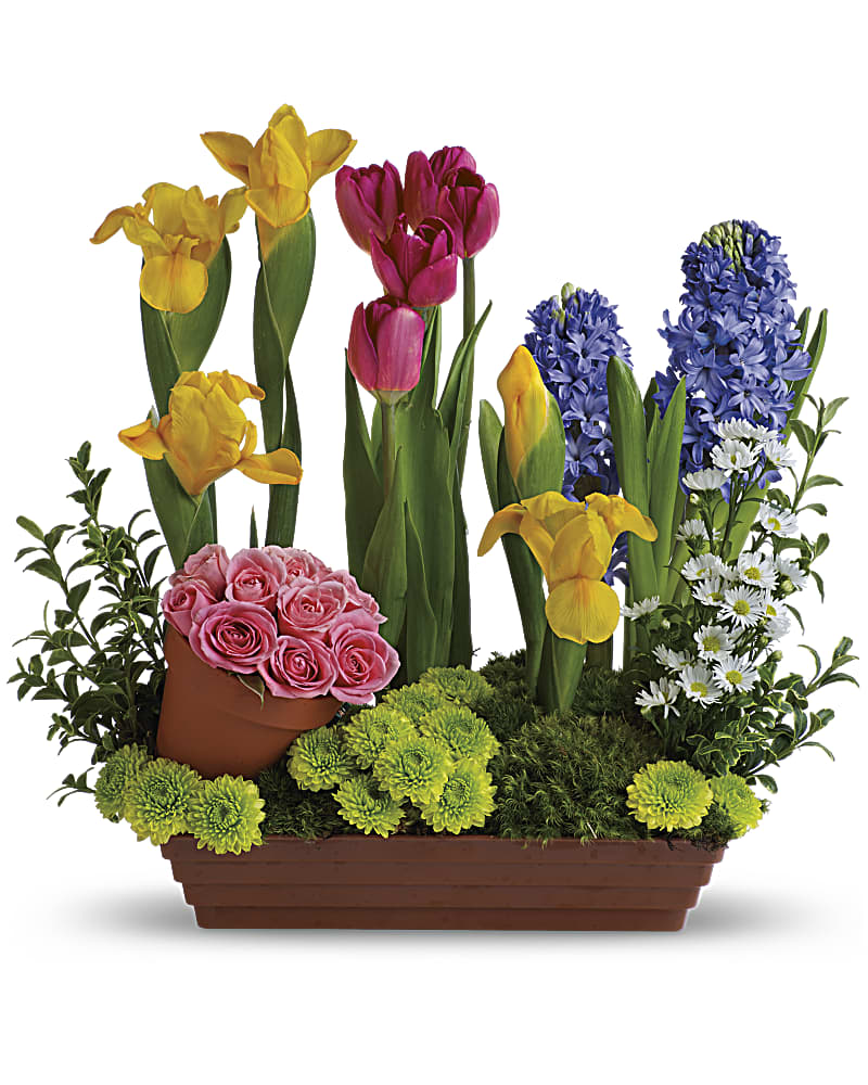 Spring Favorites Flower Arrangement - Teleflora