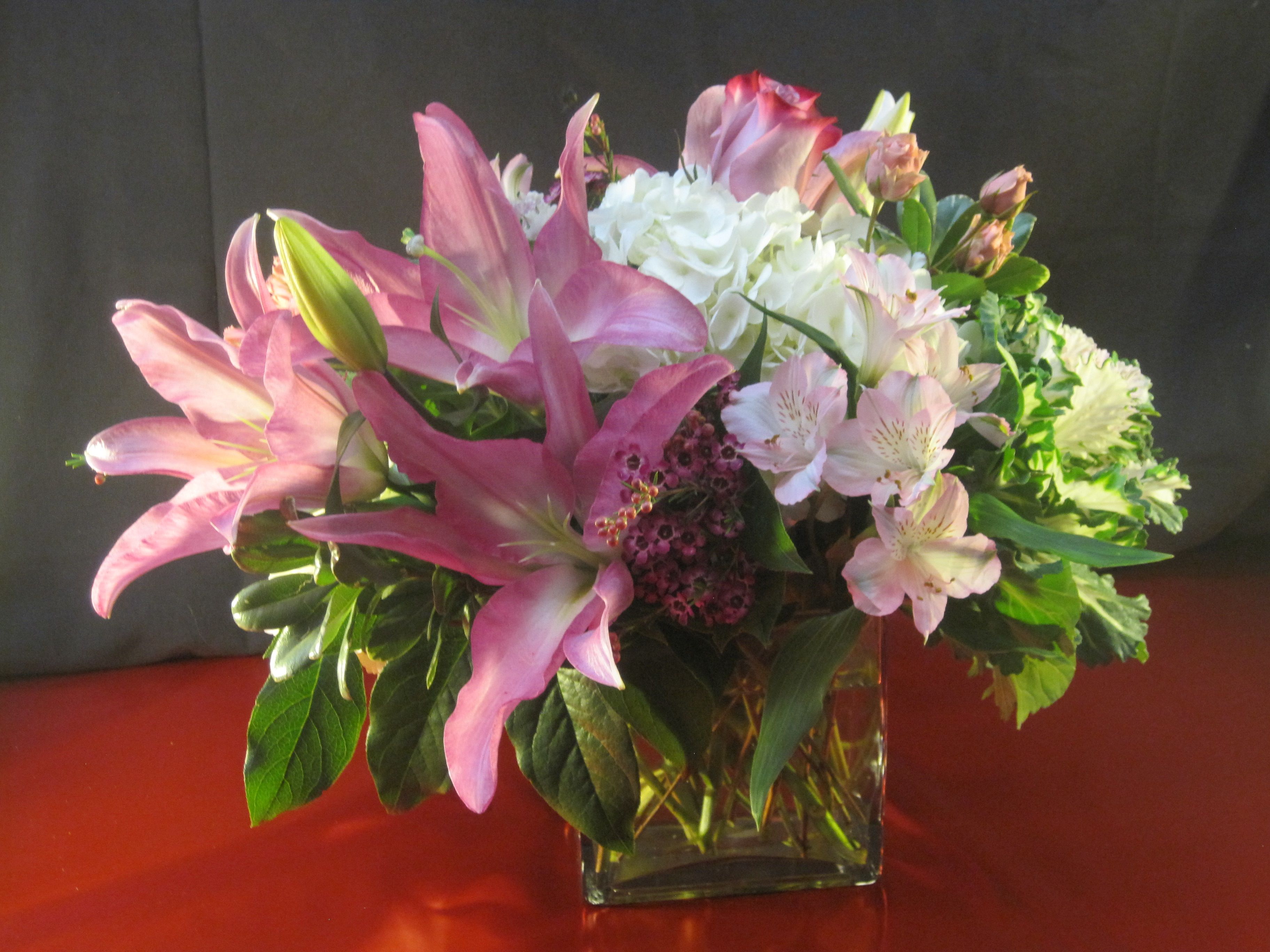 Angel Face in ALEXANDRIA, VA | FOXGLOVE FLOWERS