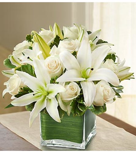 Modern Embrace™ White Rose and Lily Cube - Wilmington, DE Florist