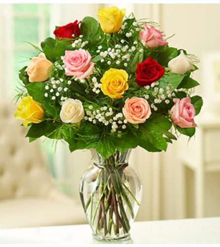 Rose Elegance™ Premium Assorted Roses - Wilmington, DE Florist