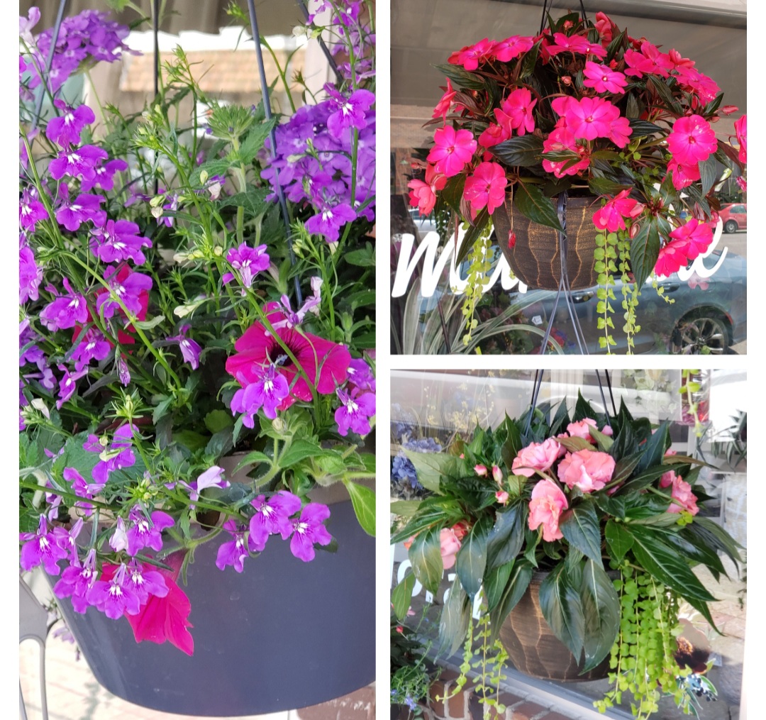 Blooming Outdoor Hanging Basket
