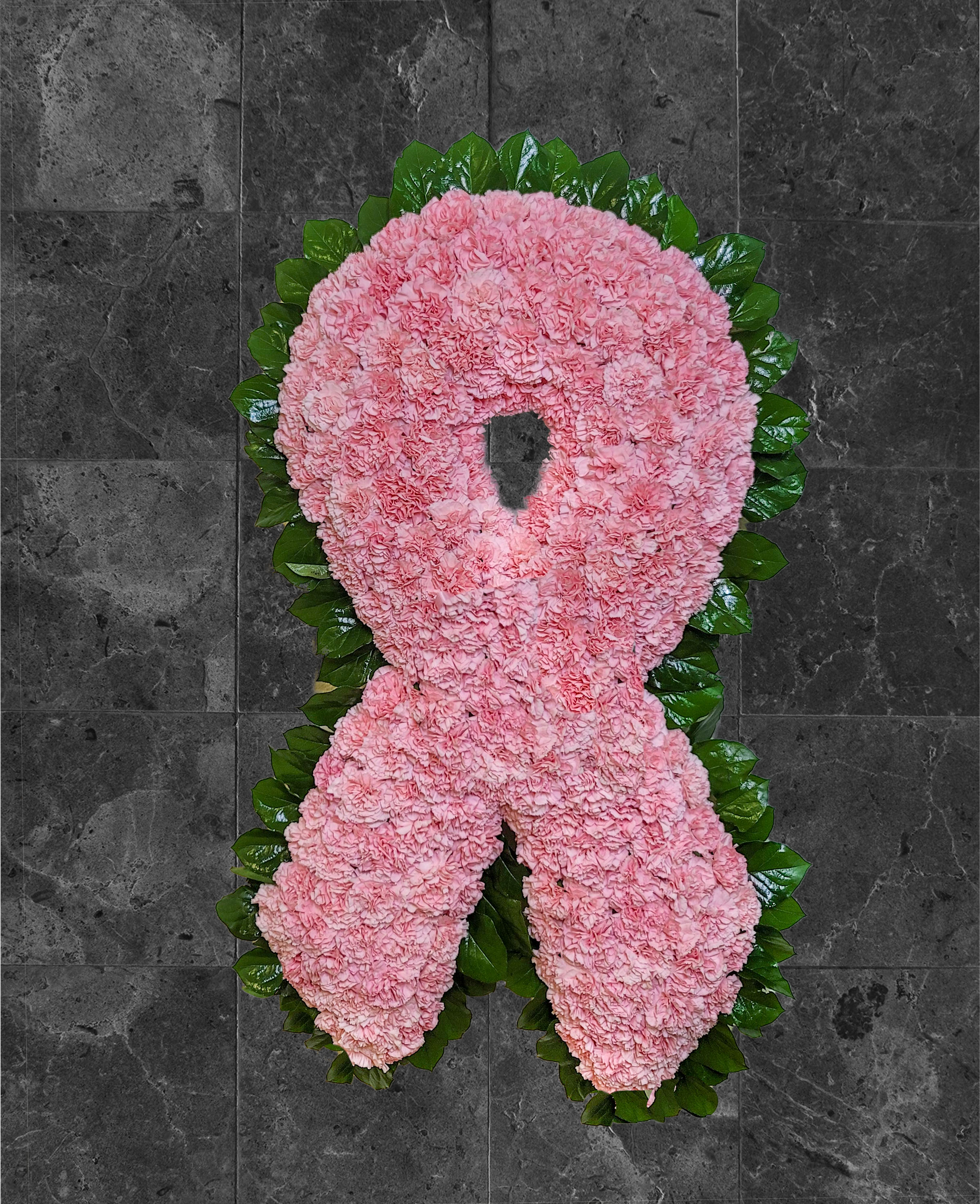 D-11 Lazo de cancer en claveles Bella Flor Inc