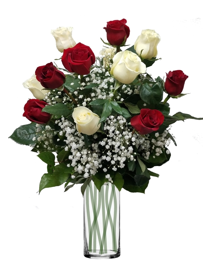 Long Stem Premium Fire and Ice Roses Colorado Springs Florist │ Flowers ...