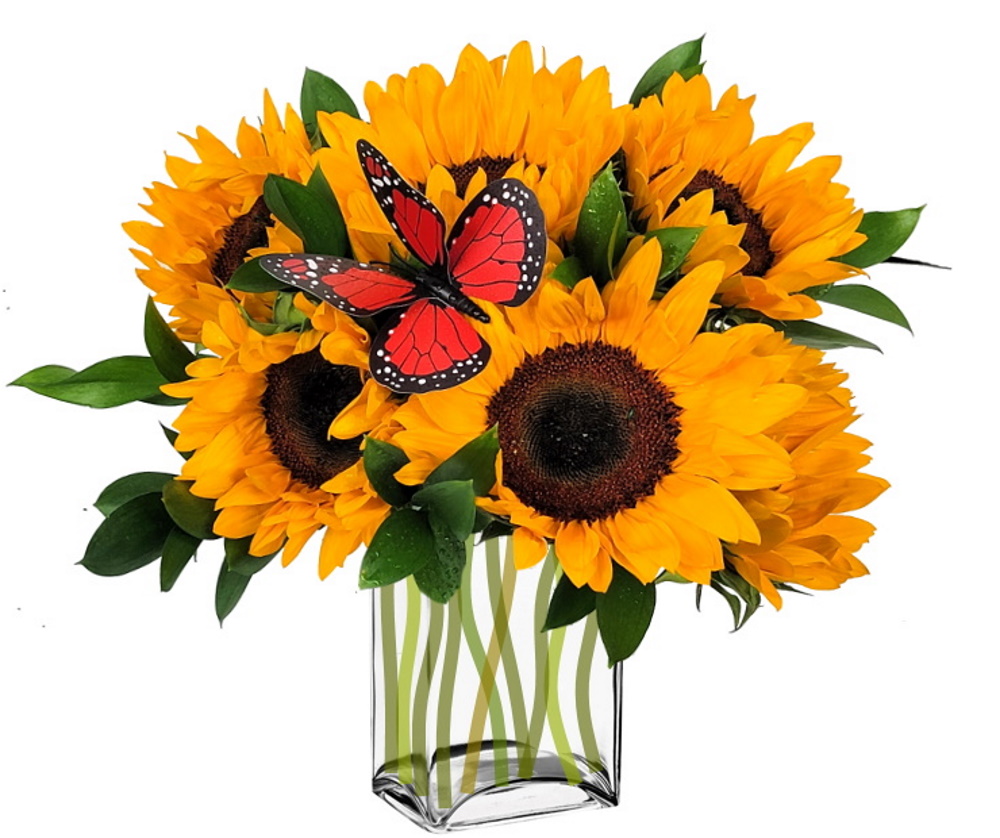Captivating Sunflower Arrangement: Radiant Blooms at My Flower Shop