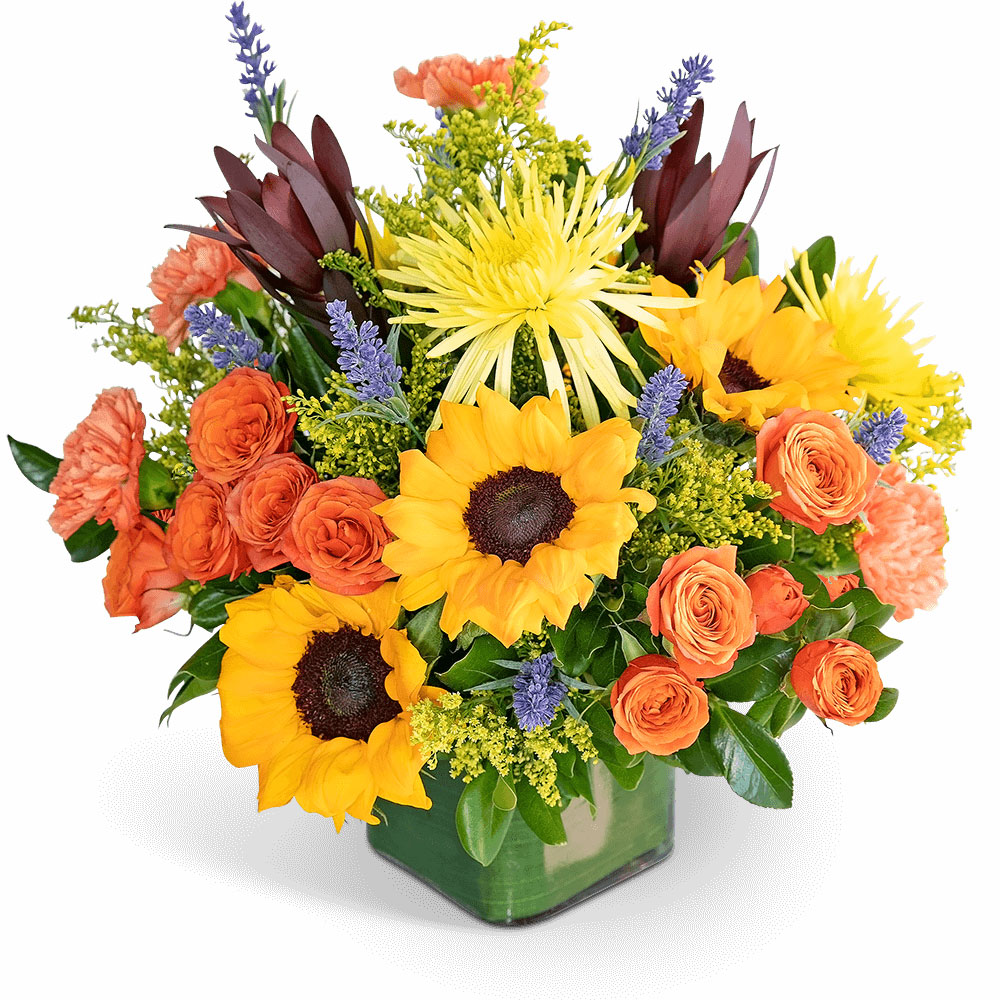 Splendid Abundance Flower Delivery Virginia Beach VA - Daughters Flowers